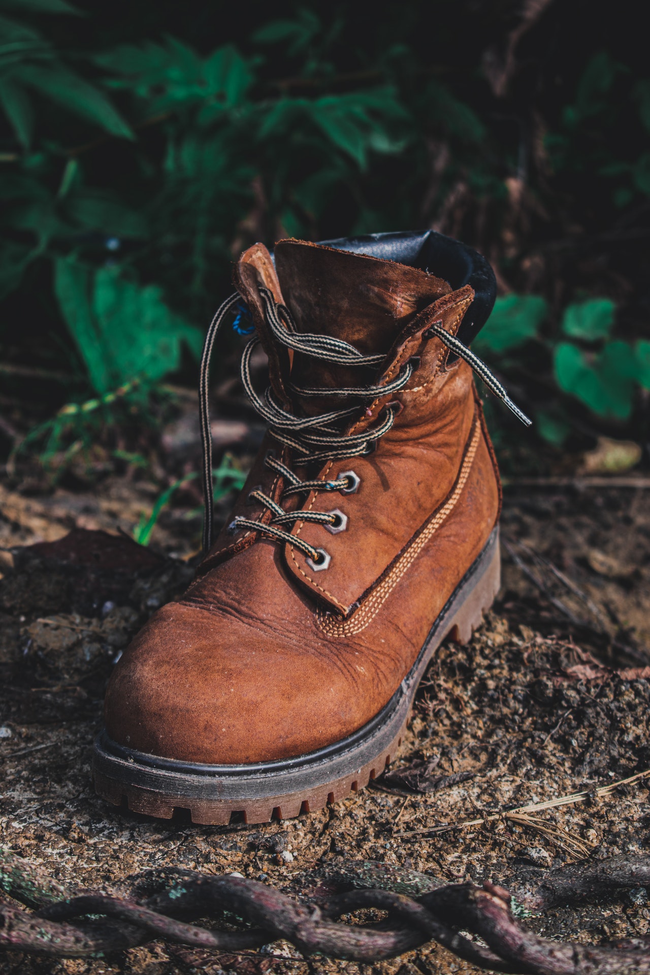 Timberland Aims For Net-Positive Impact On Nature Through Regenerative ...