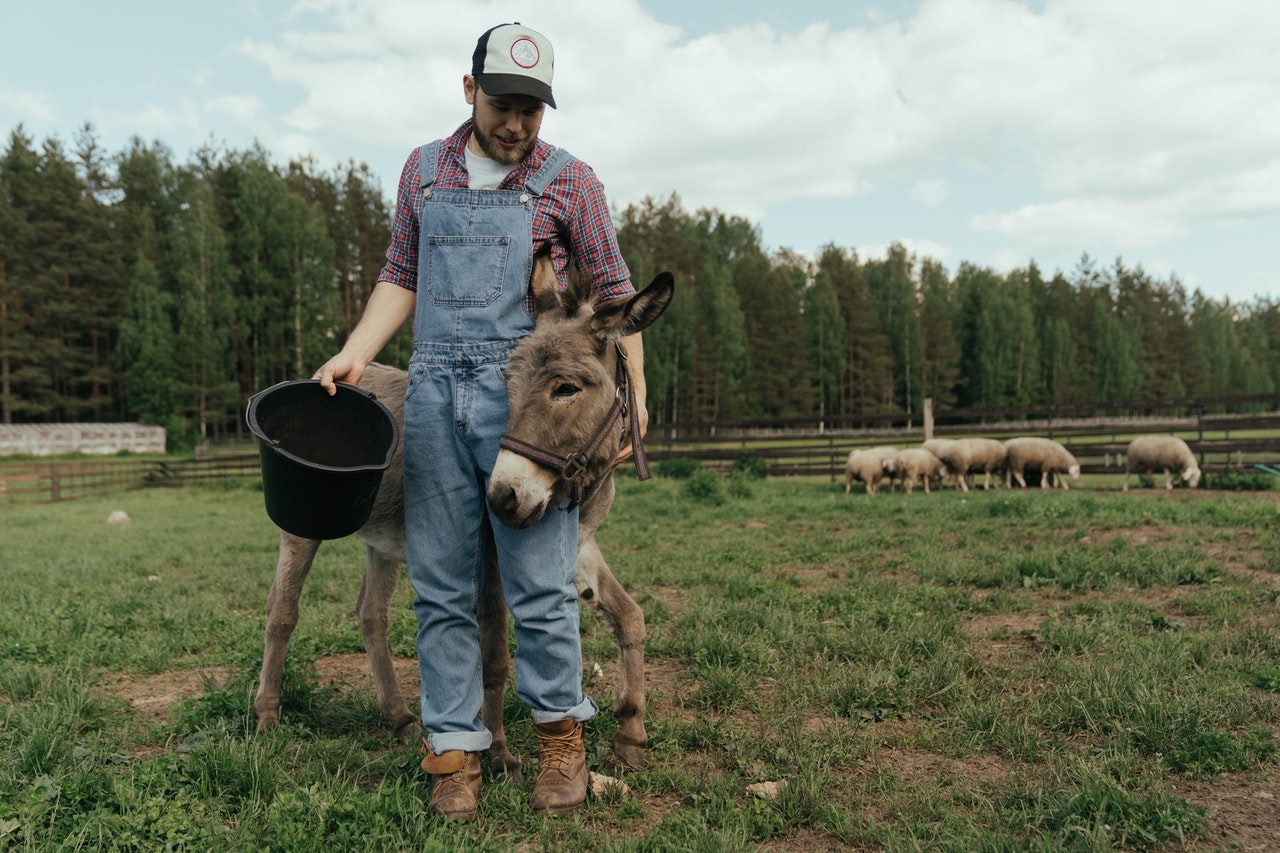 Virtual Tour Gives Students Real-World View Of Life On The Farm ...