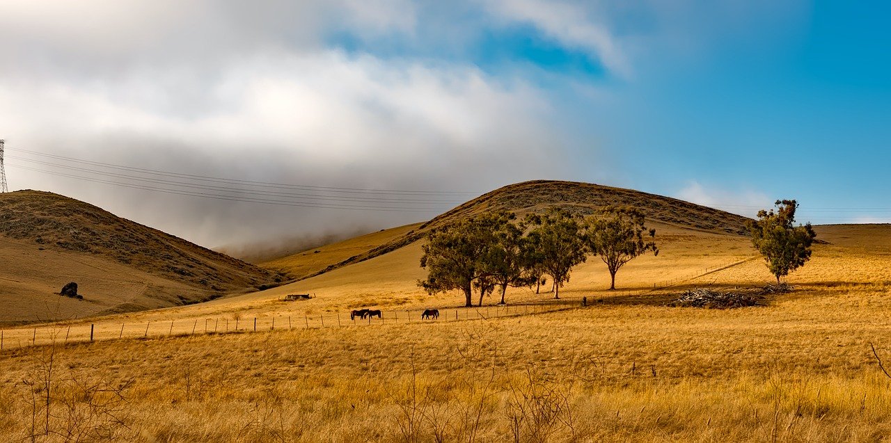How One California Farm Is Navigating A Historic Drought ...